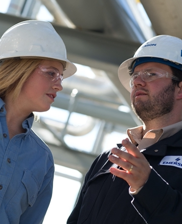 DeltaV Version Upgrade | Services | Proconex